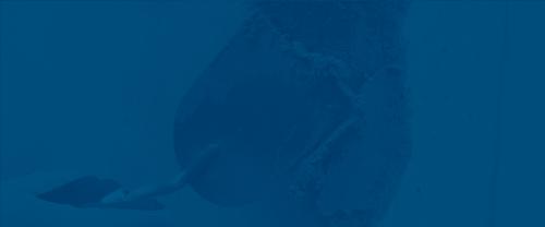 Emcefix-Spachtel G lang - MC-Bauchemie